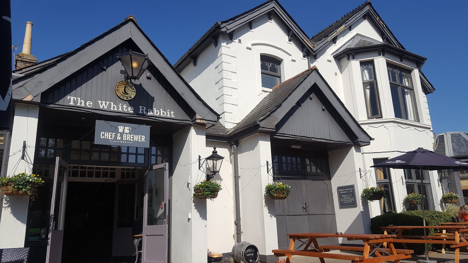 Lyndhurst Through the Beer Glass Pt2 - The White Rabbit