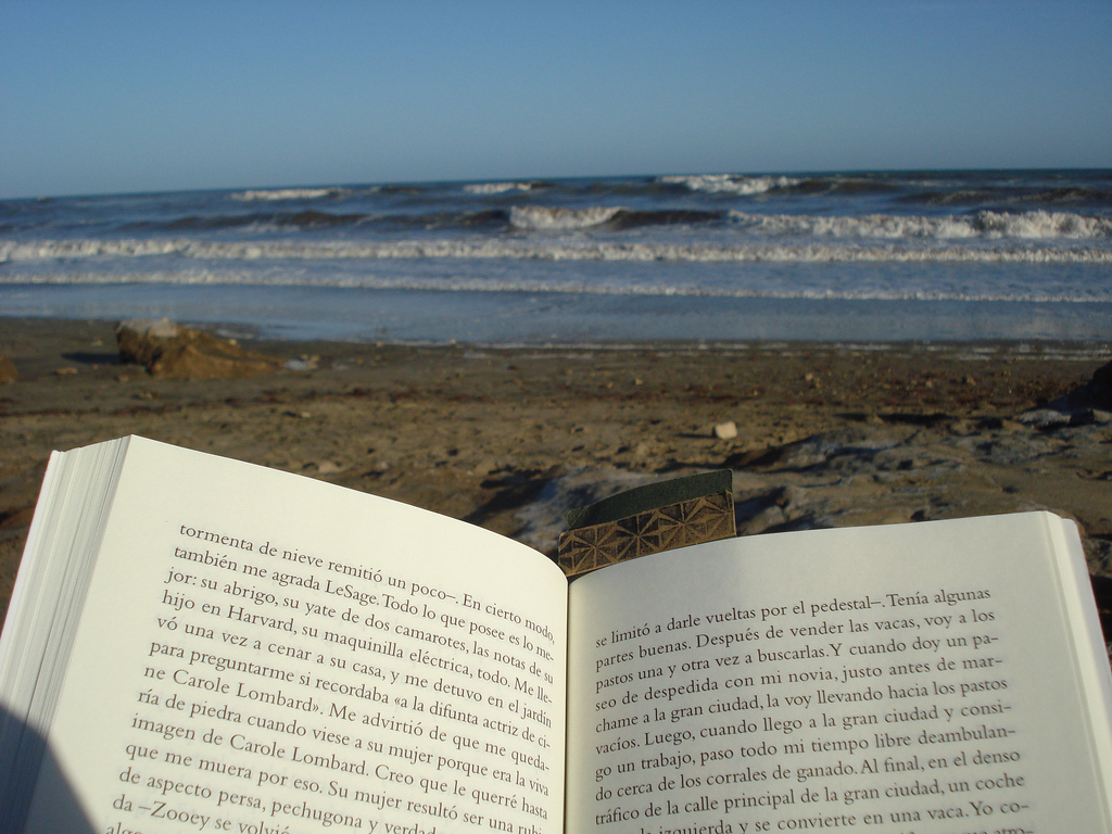 Nestornautas: LOS 9 LIBROS MAS LEÍDOS EN LAS PLAYAS (Y UNO QUE TODOS ...