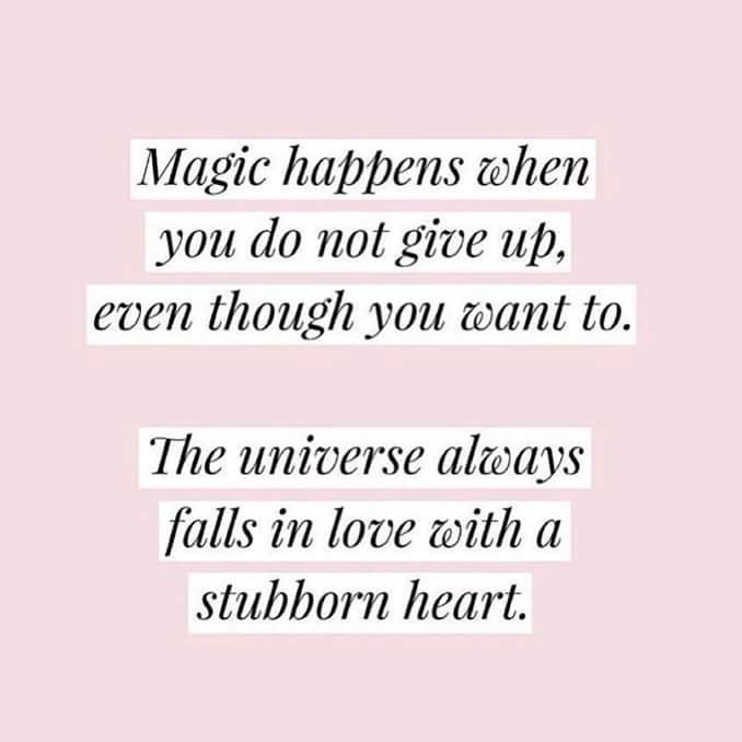 new beginnings: Magic happens when you don't give up...