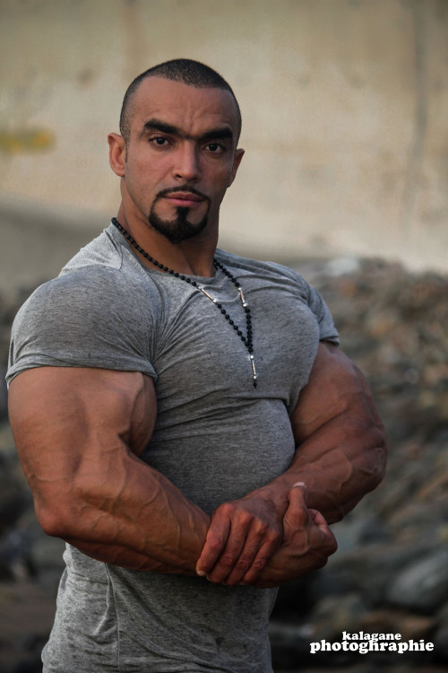 Worldwide Bodybuilders: Moroccan muscle Samir Hbazi