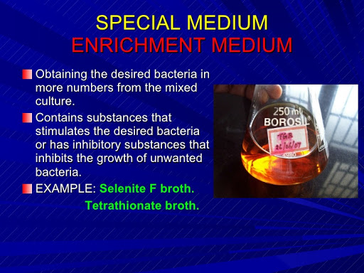 RDK PARAMEDICAL STUDENT STUDY: Difference Between Enriched Media and ...