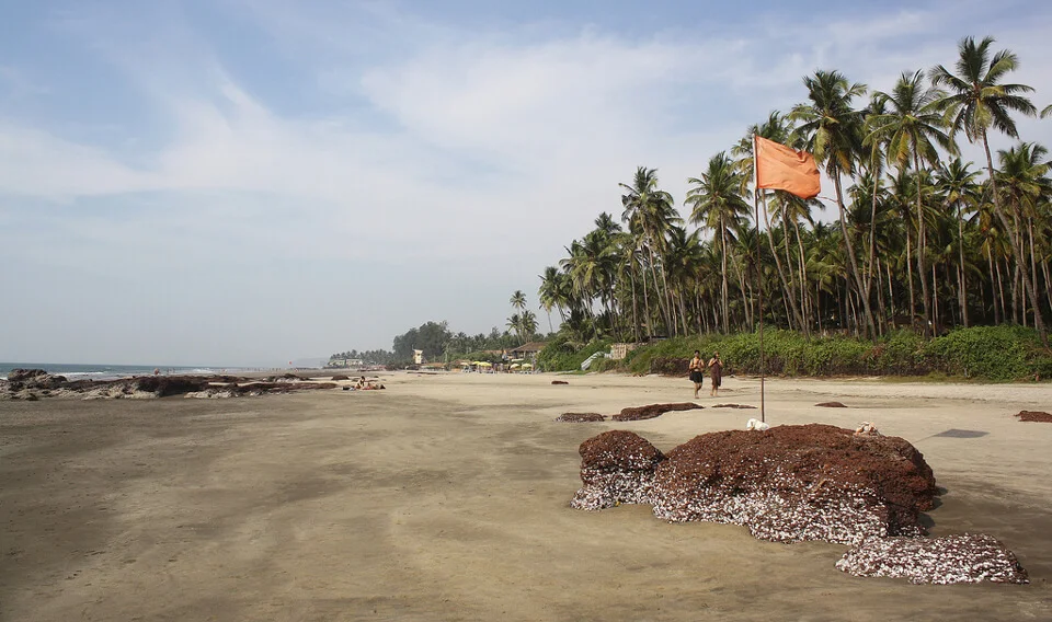 Top 16 Best Beaches in Goa, India (with Photos)