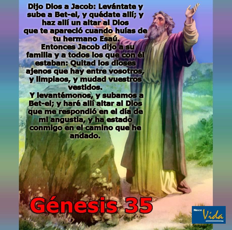 Neco Vida: Leyendo... Génesis capítulo 35
