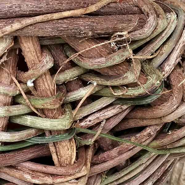 Nessy Designs: Wisteria Basket