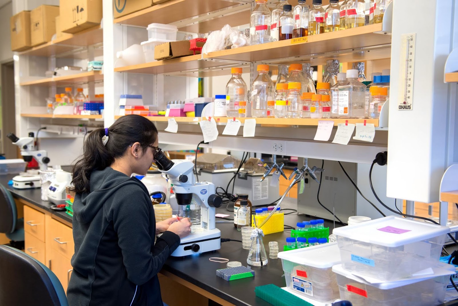Biochemistry Introduction and Overview - Medical Yukti