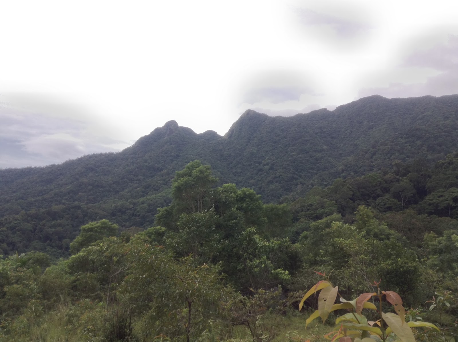 An Unforgettable Day Hike: Mt Irid, Rizal's Highest Mountain - From The ...