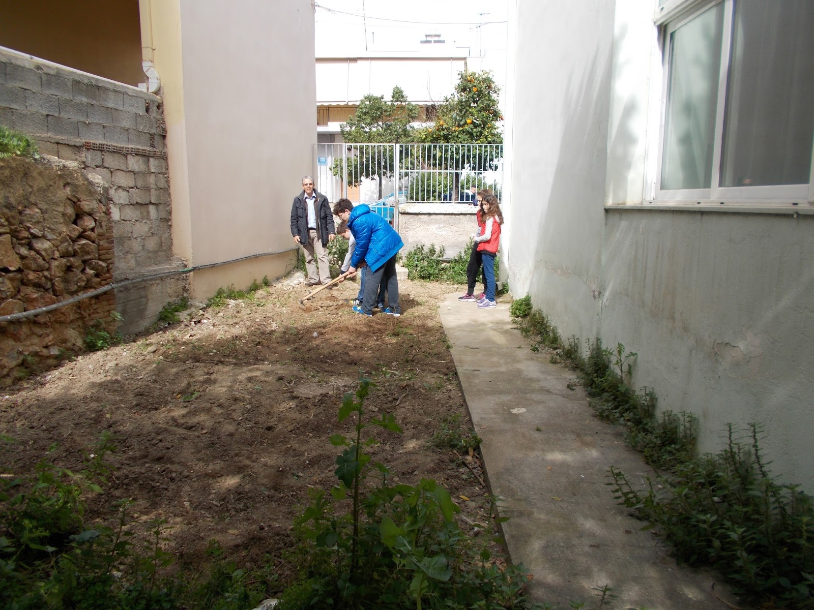 ΣΧΟΛΙΚΟΙ ΛΑΧΑΝΟΚΗΠΟΙ : ΟΙ ΚΗΠΟΙ ΤΩΝ ΣΧΟΛΕΙΩΝ ΤΗΣ Δ/ΣΗΣ Β/ΘΜΙΑΣ ΕΚΠ/ΣΗΣ ...