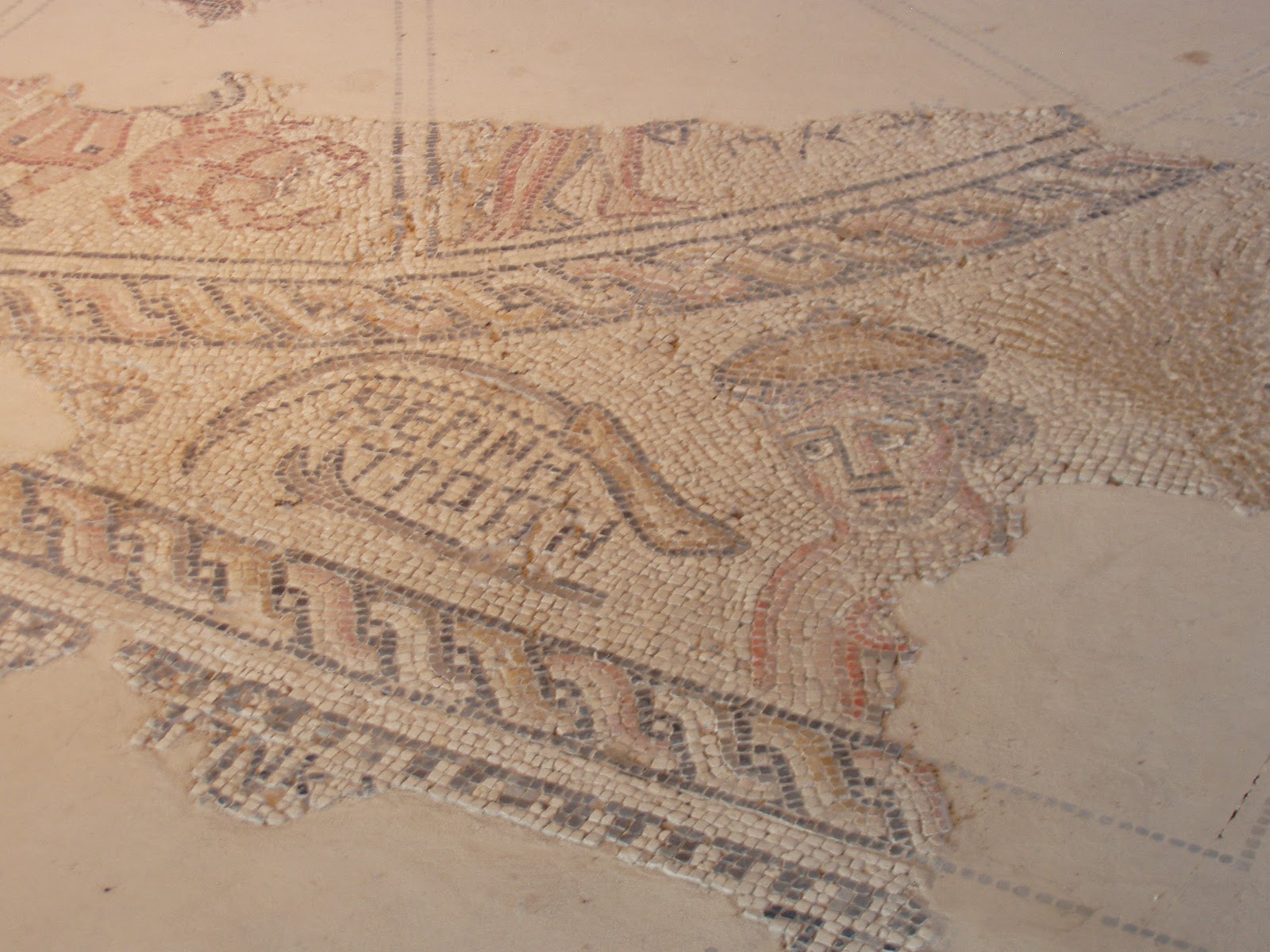 Steve&Bev Middle East Discovery 2011: Tzipori, Kfar Hasidim, Safed, Sea ...