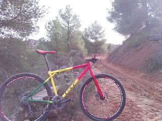 GT Peace 29er Rasta Cuadro-horquilla y algo más por 300 | ForoMTB.com