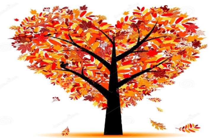 The Heart Of The Tree poem's workbook solution