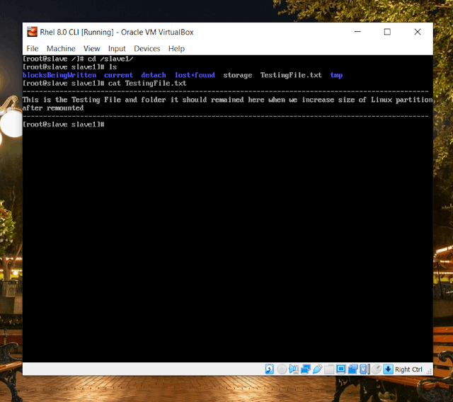 Increase And Decrease Size Of Static Linux partitions - DevOps Tutorials | Jenkins Docker ...