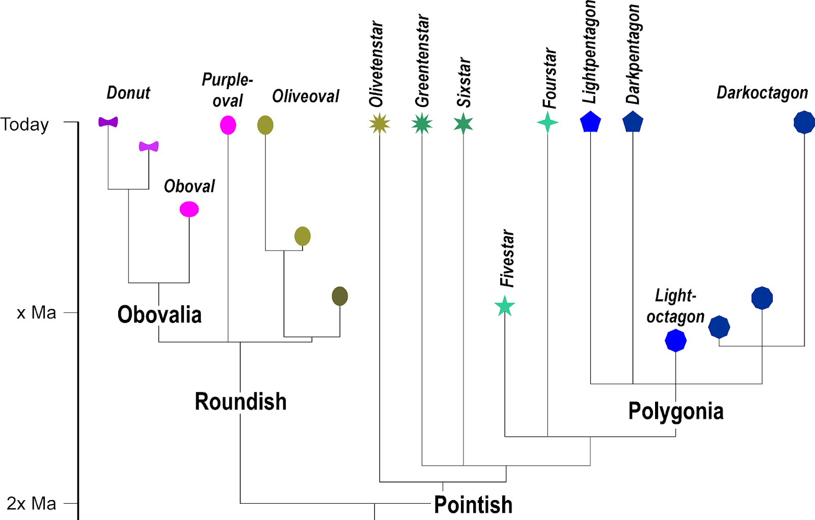 The Genealogical World of Phylogenetic Networks: Has homoiology been ...