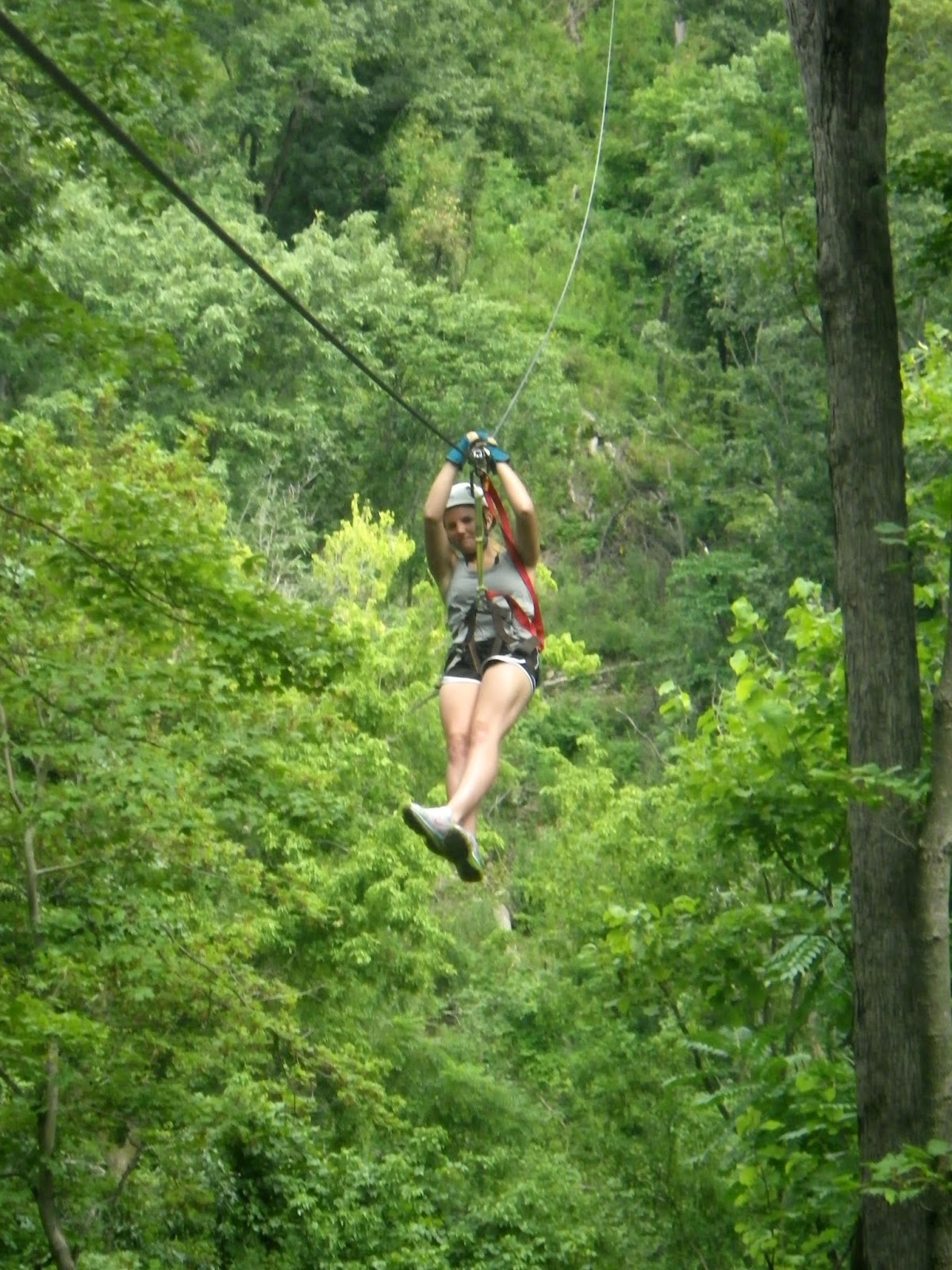 Trek Mountain Girl: Grafton Zip Line Adventure
