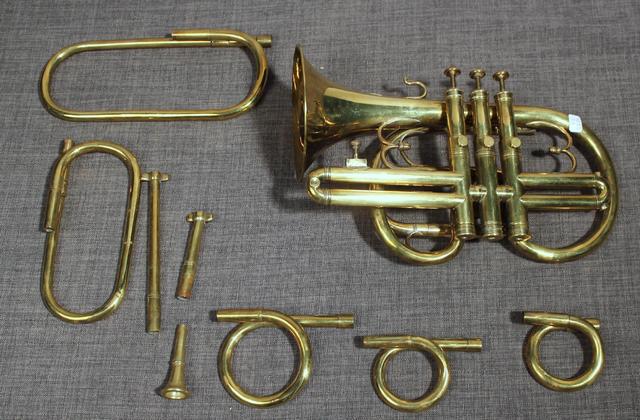 l'A.C.I.M.V - Blog et bulletin de liaison " Le Larigot": RECHERCHE ...