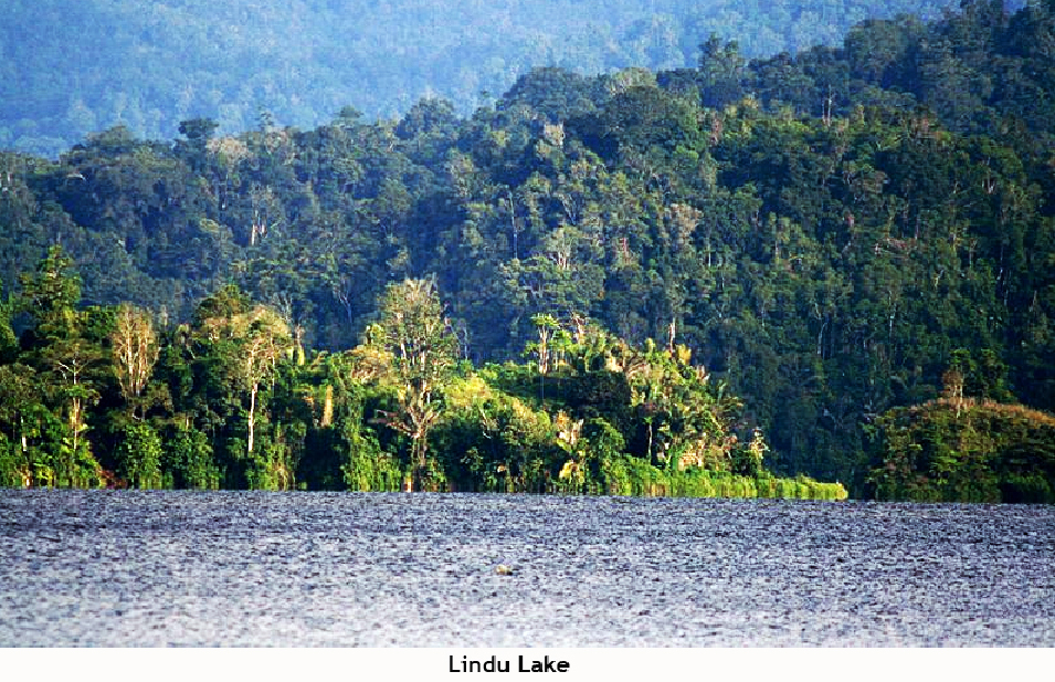 The Beauty Landscape of Indonesia: Beautiful Scenery from Central Sulawesi