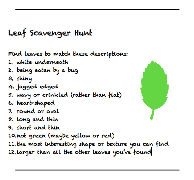 Explore and Discover Nature: Autumn Leaf Study in New Zealand - leaf ...