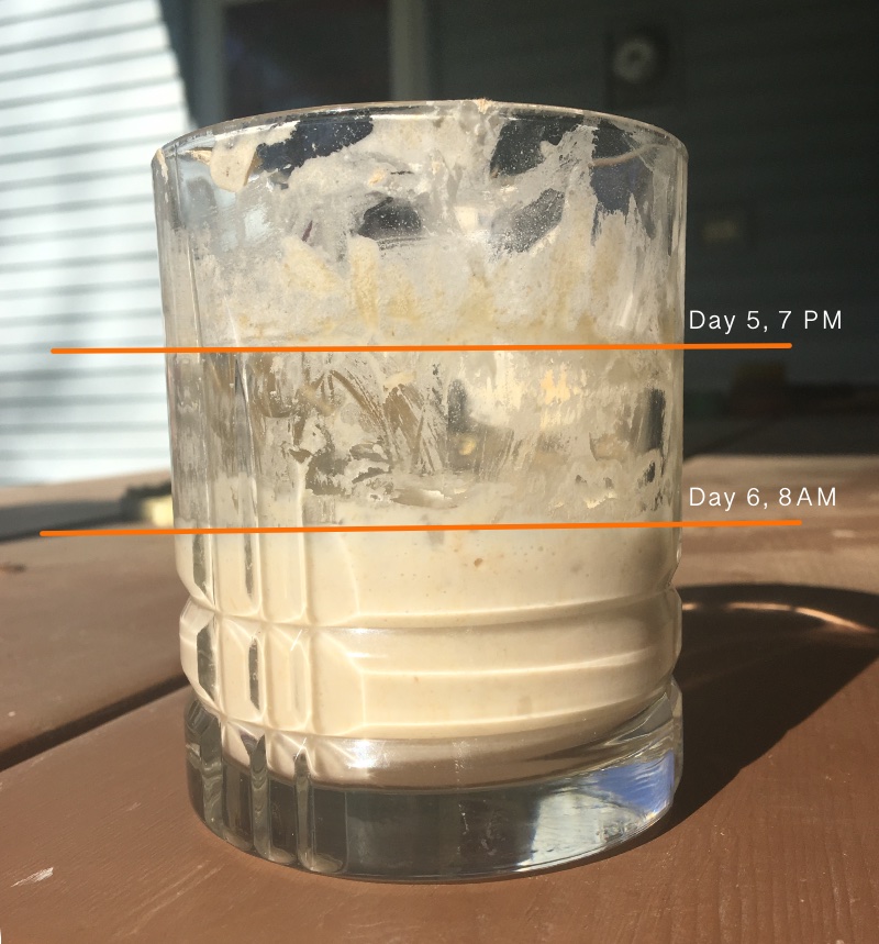 Cara Membuat Sourdough Starter (Ragi Alami)