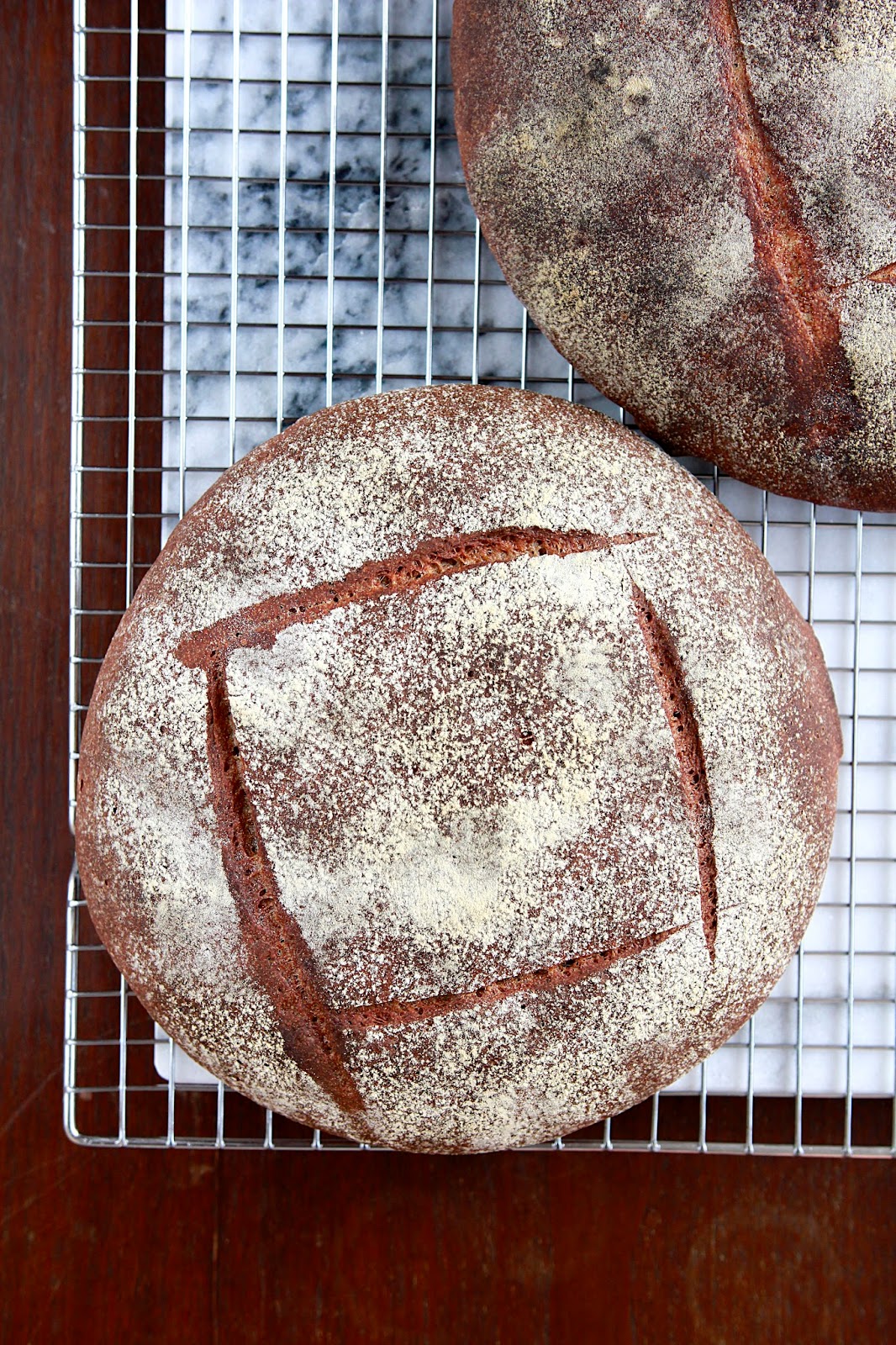 In Cookie Haven: Homemade Natural Sourdough Starter from Organic Whole ...