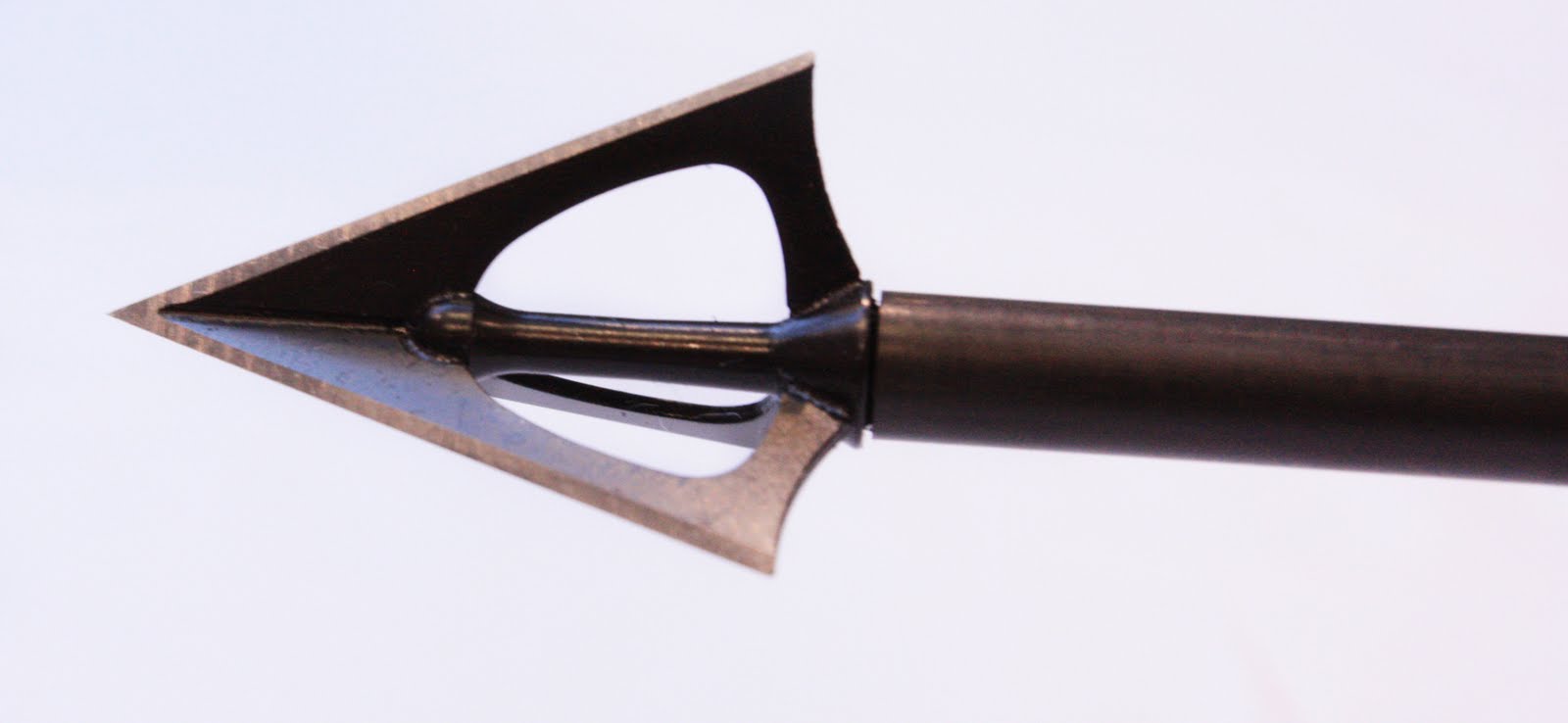 Broadhead Hunter