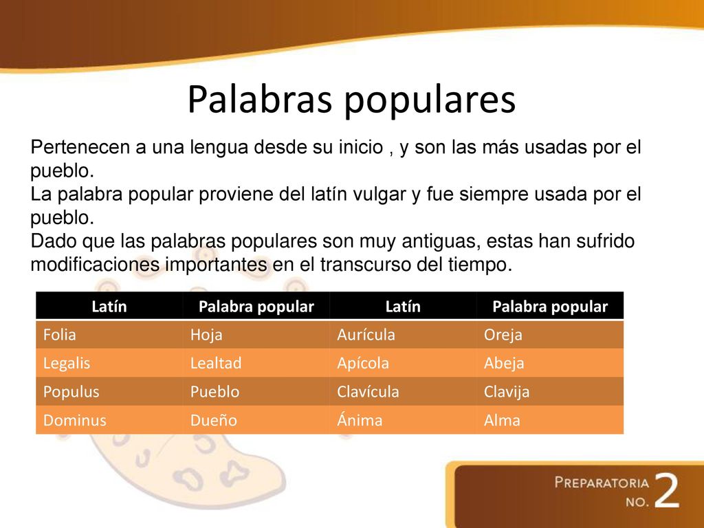 PALABRAS CULTAS Y POPULARES