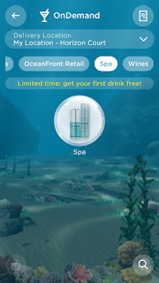 Deb's Days: 5 Things to Know about Ocean Medallion™ on Princess Cruises