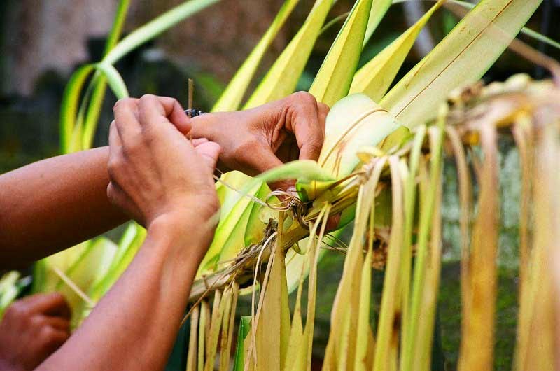 Bali Free Information: Penjor Bali Amazing Culture