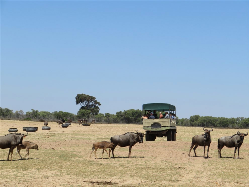 1camera1mom: Buffelsfontein Game Reserve - Part 1