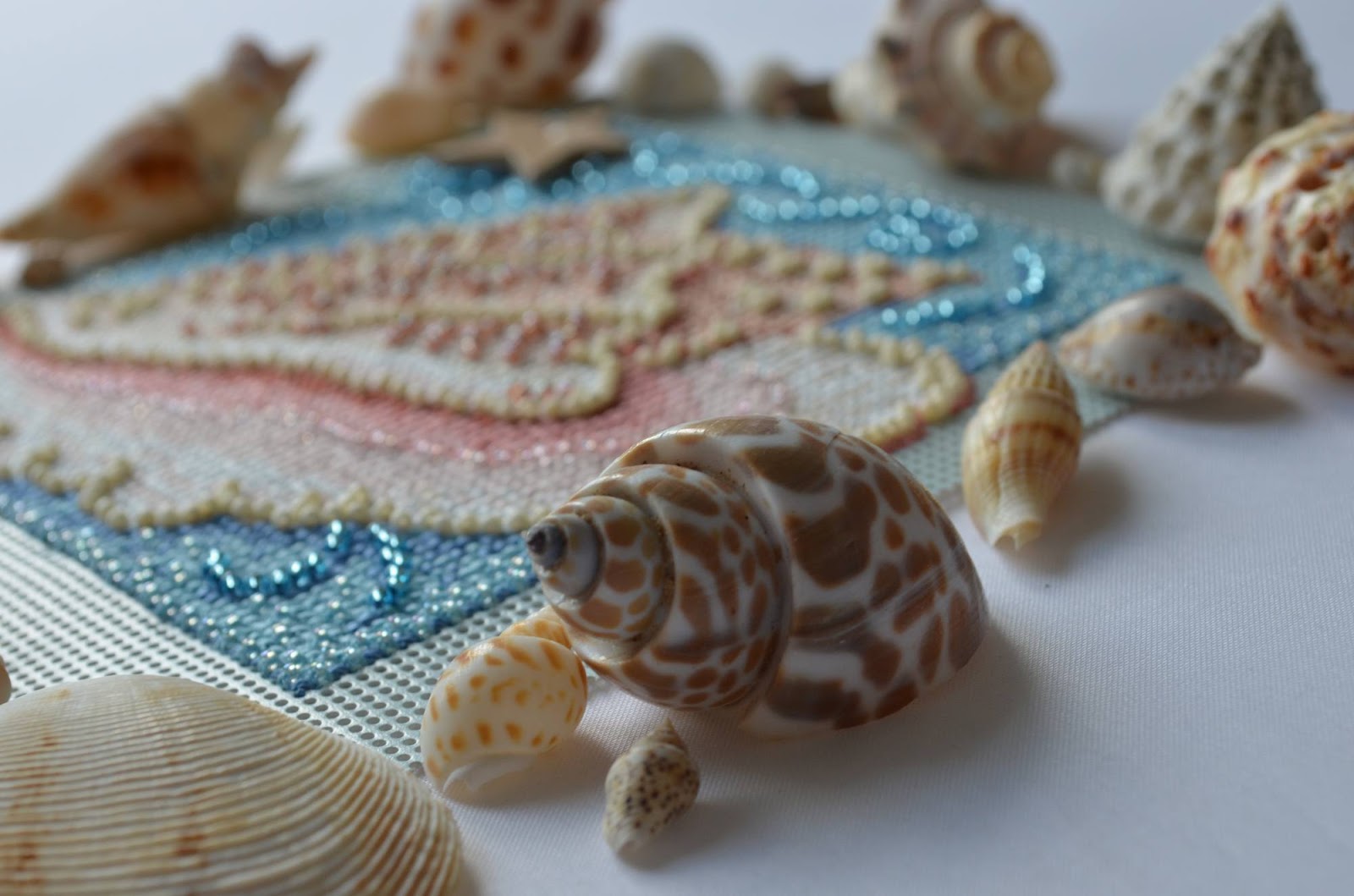 Гнездо Норной Совы: Mill Hill - Conch Shell