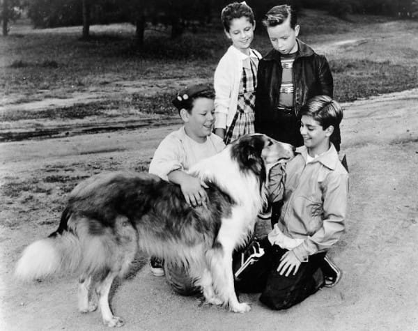 LASSIE (1954-1973)