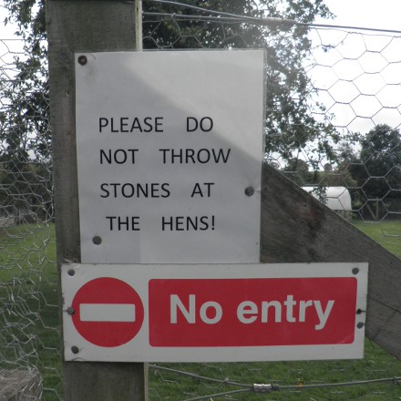 Please Do Not Throw Stones... | Photo Curios
