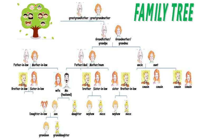 Natural English : VOCABULARY - FAMILY TREE