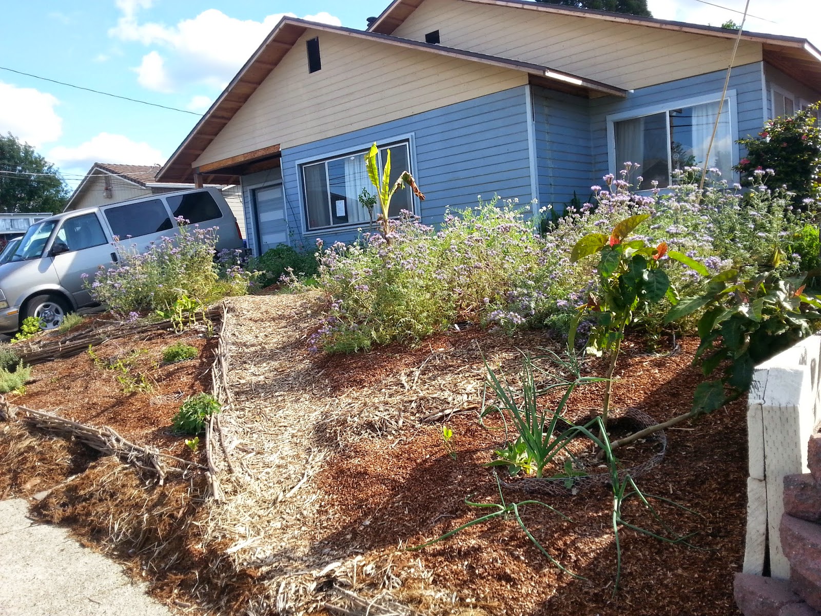 Food Forest Farm, West: Food Forest Design