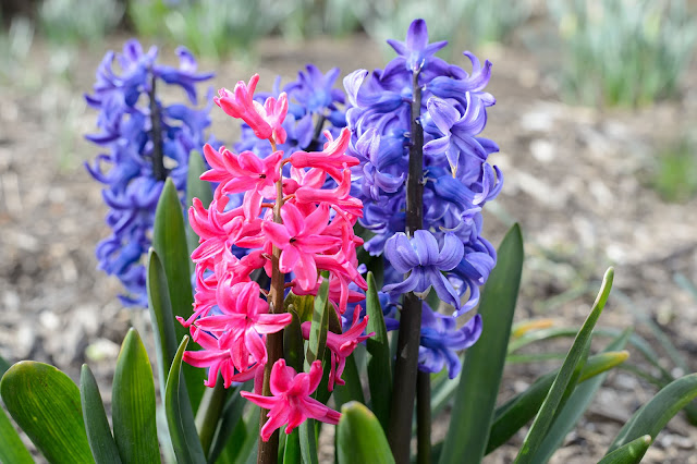 Bubba's Garage: April 2017