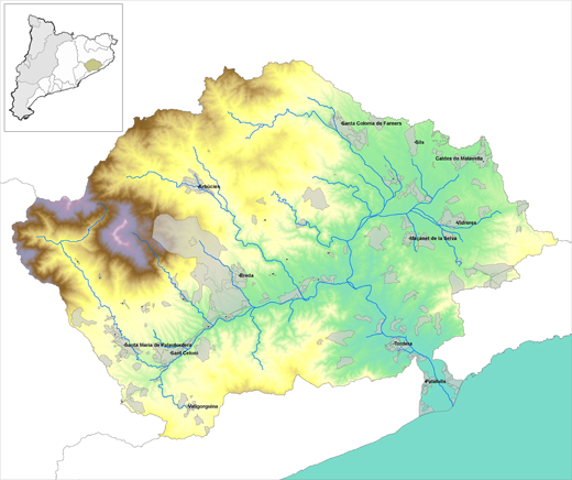 La Natura a la Baixa Tordera: 2016-01-31