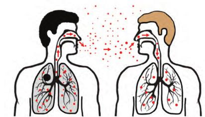 Tuberculosis (TB): Mechanism