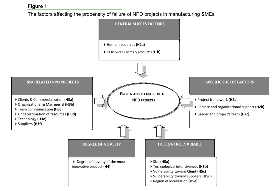 The Strategy Seminar: New Product Development: Risk & Reward