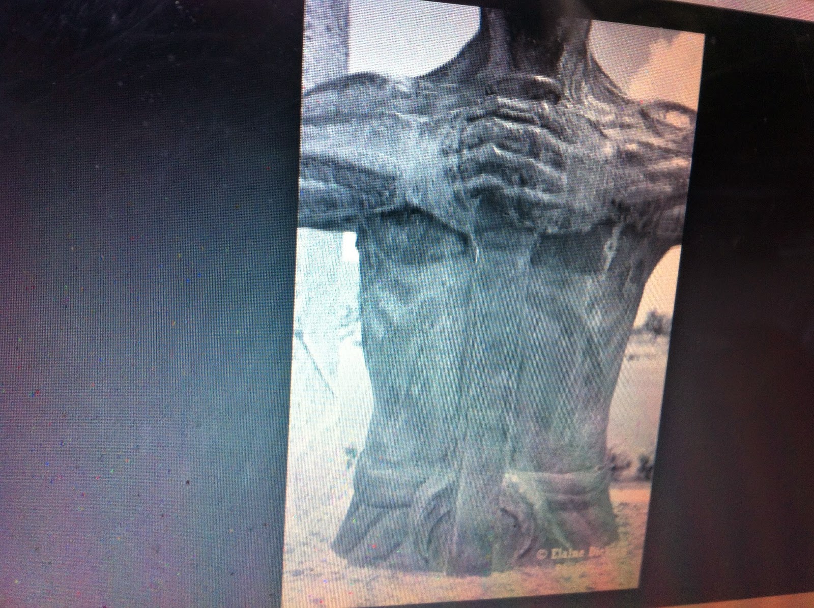 THE BLACK SOCIAL HISTORY:: BLACK SOCIAL HISTORY : THE TACKY'S WAR OR ...