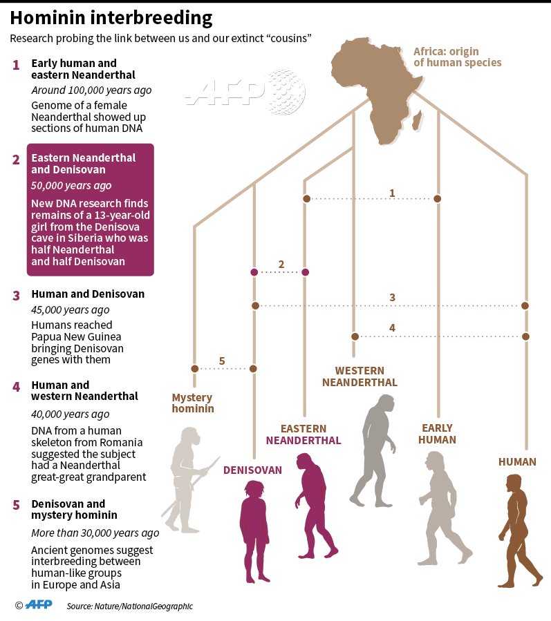 Descubren gracias a la genética un descendiente directo de primera generación de Neandertales y ...