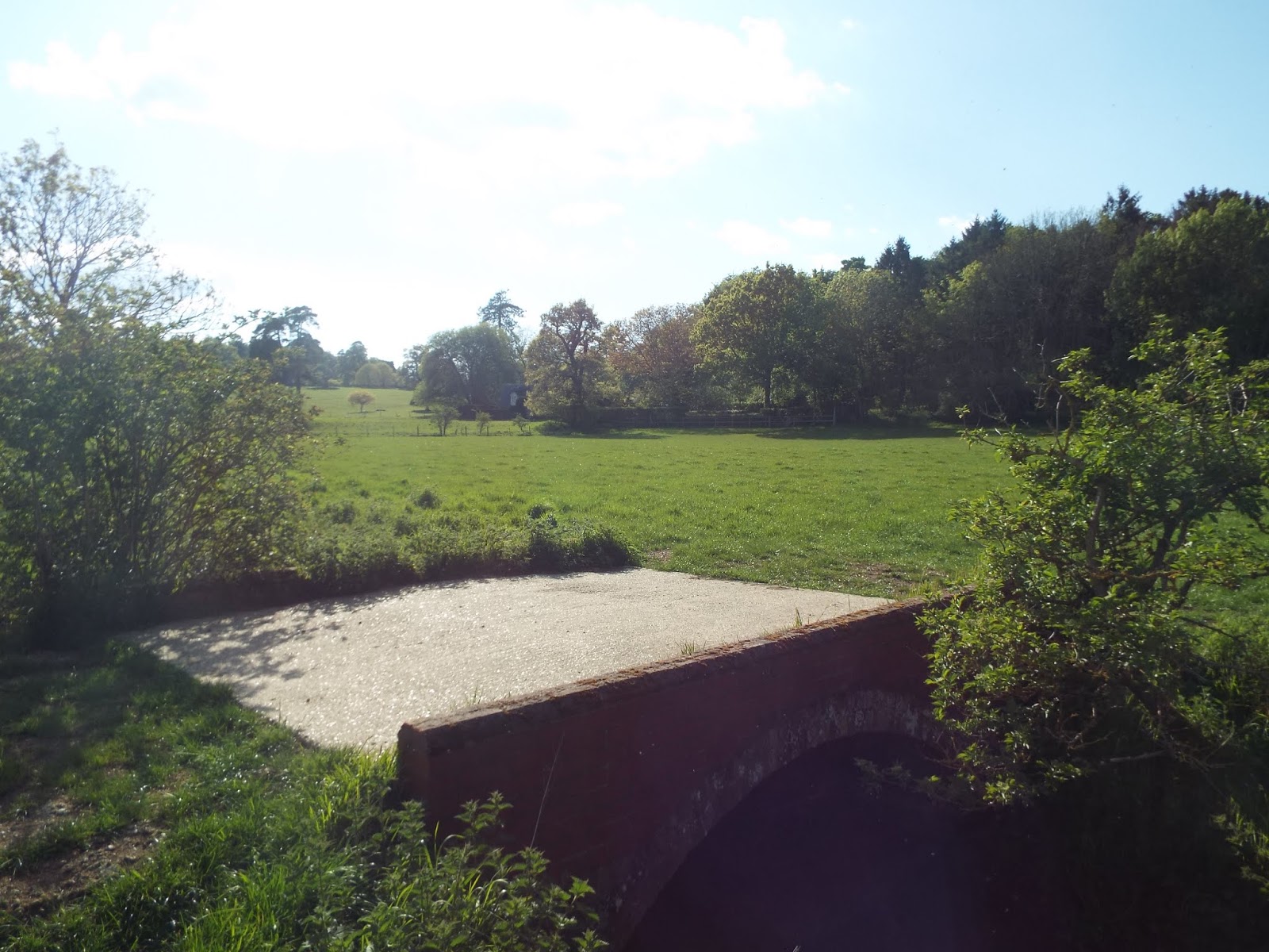 Reinterred: River Linnet Walk