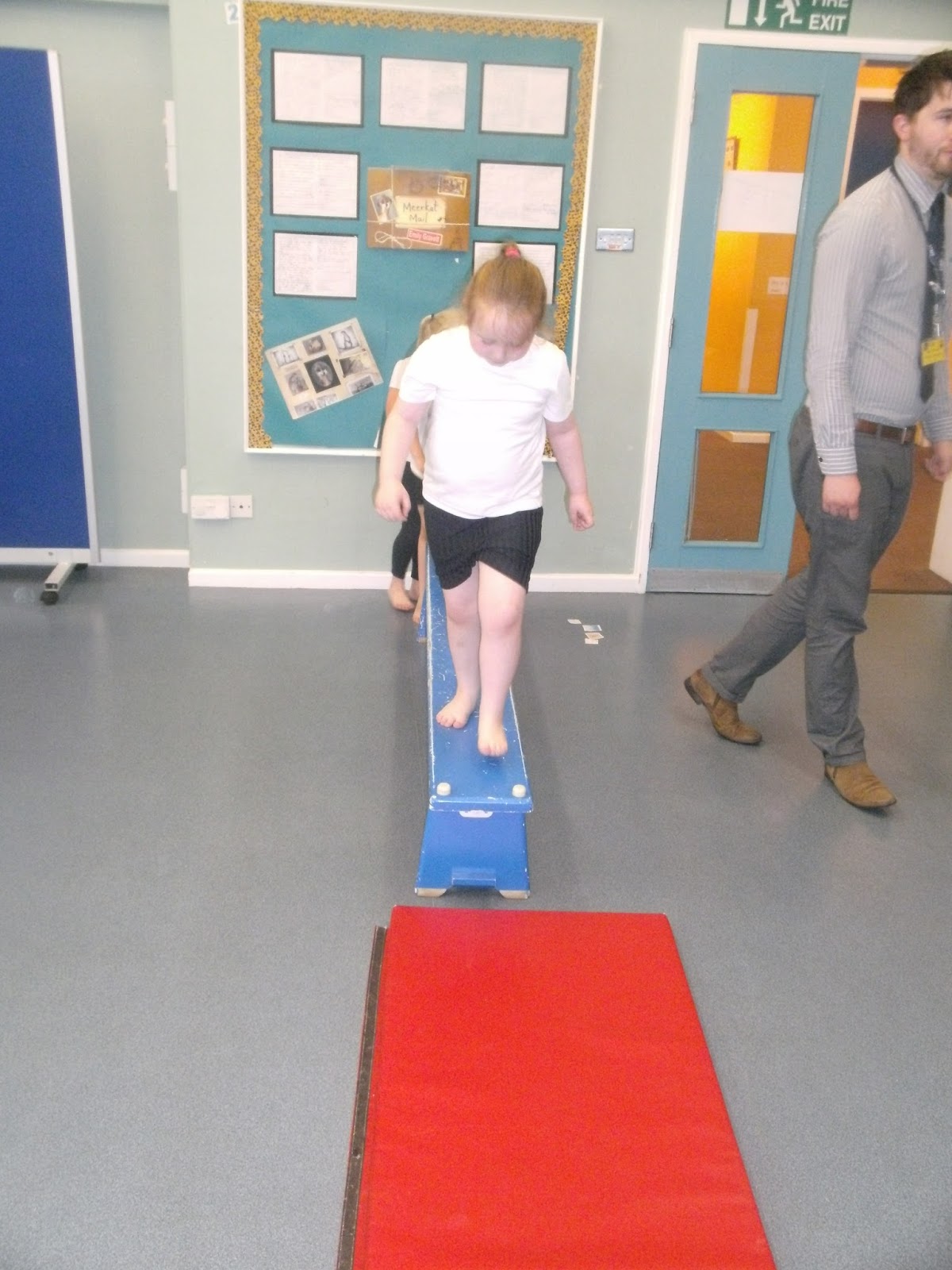 The Beetle Class Blog: PE Gymnastics