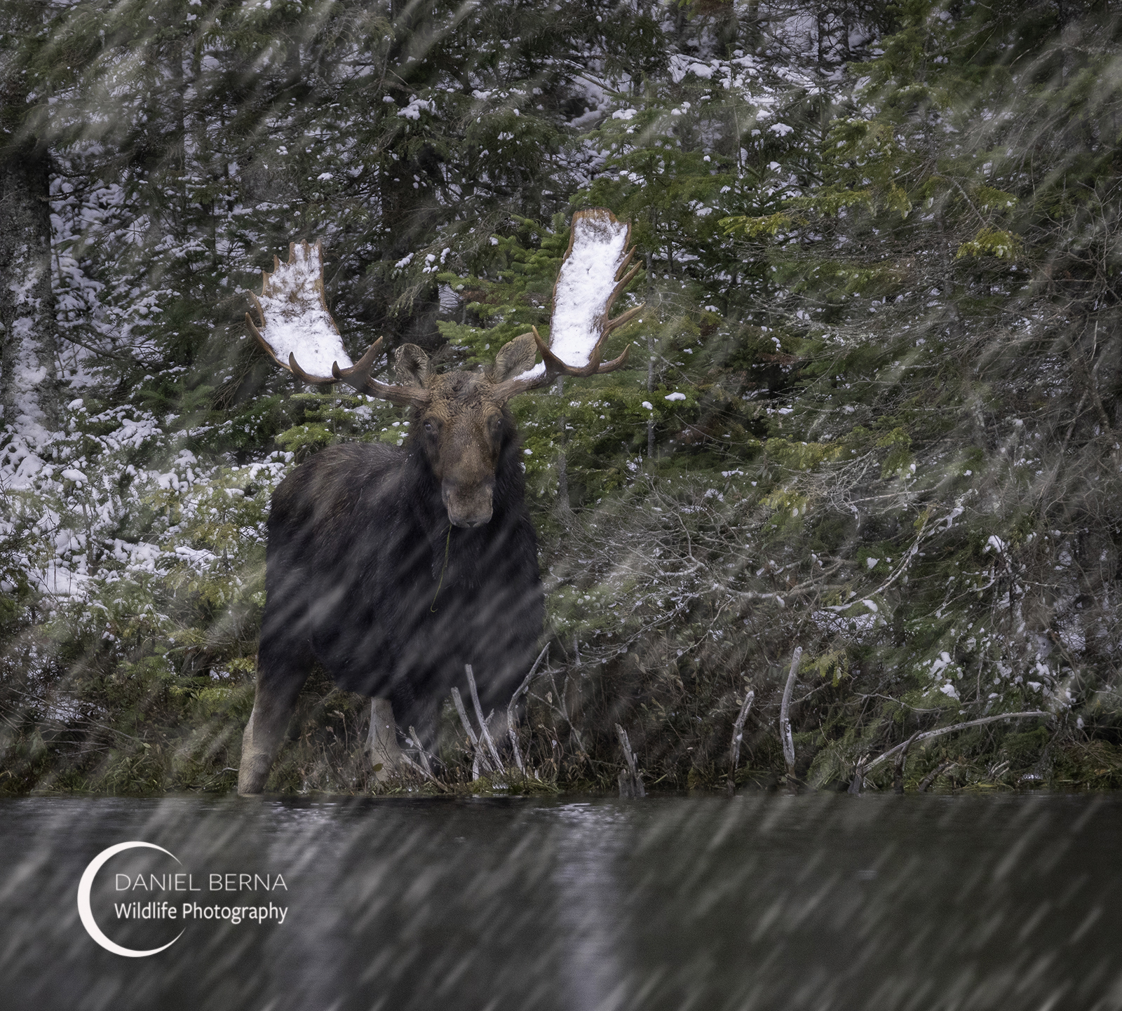 Daniel Berna Photography