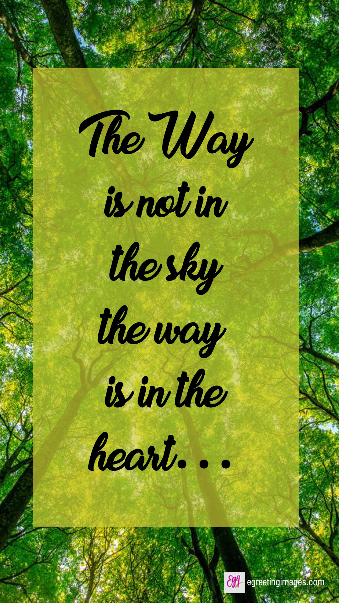 Free Postive thoughts Images For Whatsapp status and mobile