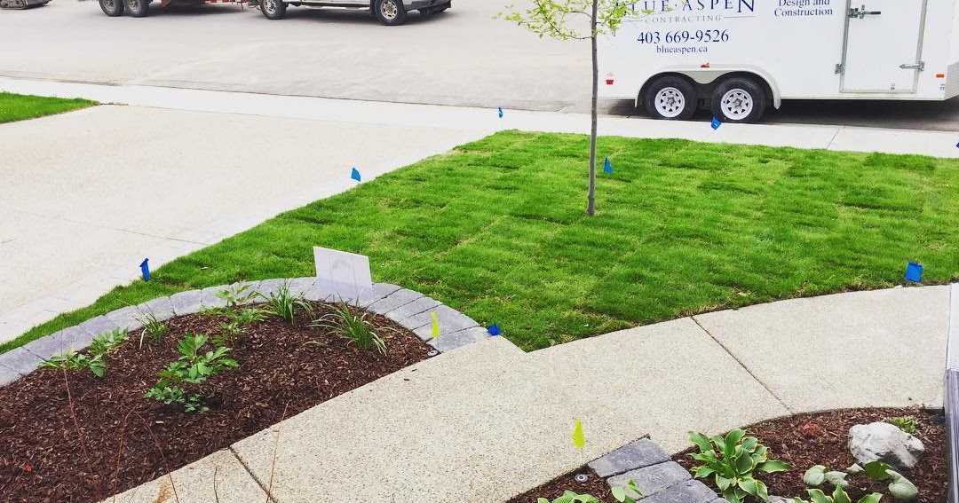 Best Calgary Landscaping, Patios Design Contractors and Company: How ...
