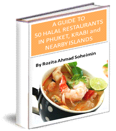 Go Halal Travel: Halal E-book