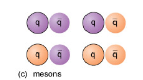 Hadrons