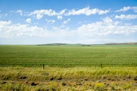 Geography: The physical environment