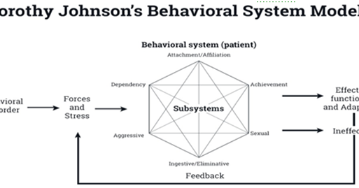 Ners UMI Makassar: Teori Keperawatan