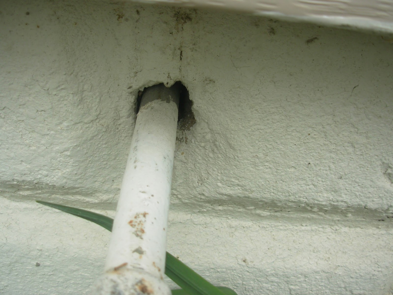 EM Pest Control: Pest Entry Points