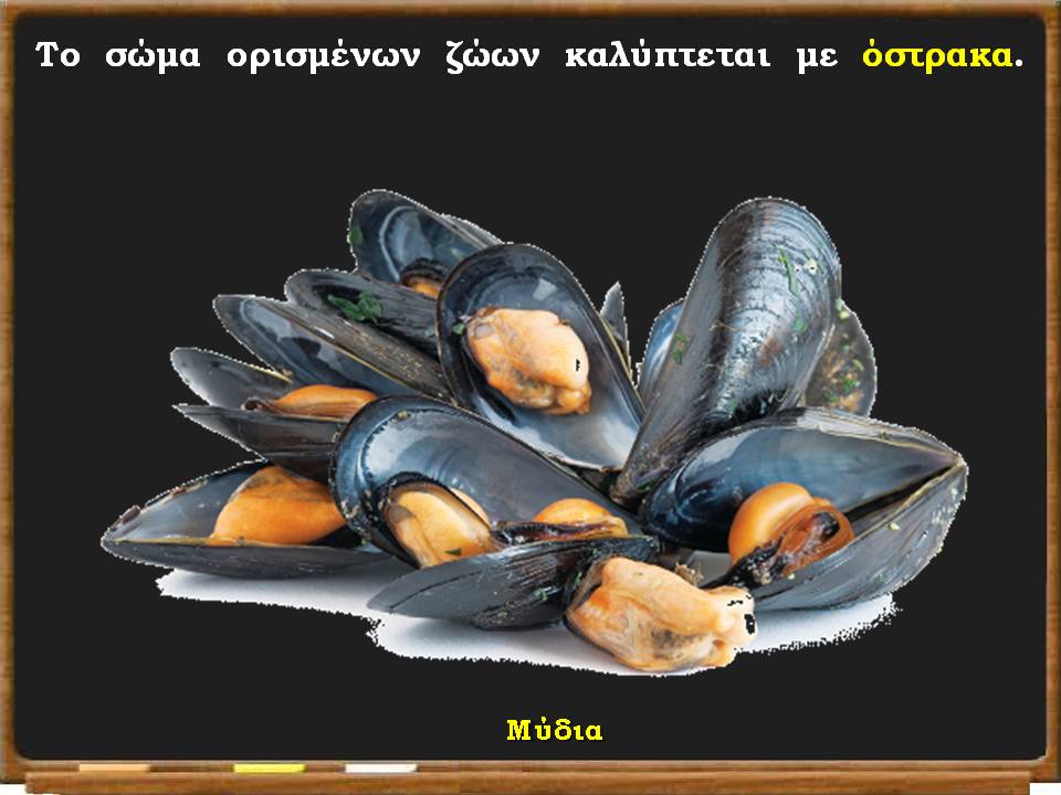 Παίζω και μαθαίνω: ΤΑ ΖΩΑ