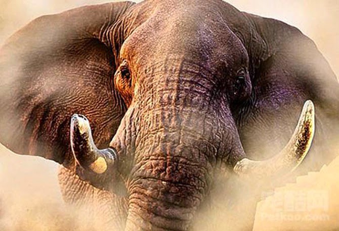 Sonu Korkunç Biten 10 Psikoloji Deney | Sağlıklı Yaşam Rehberi